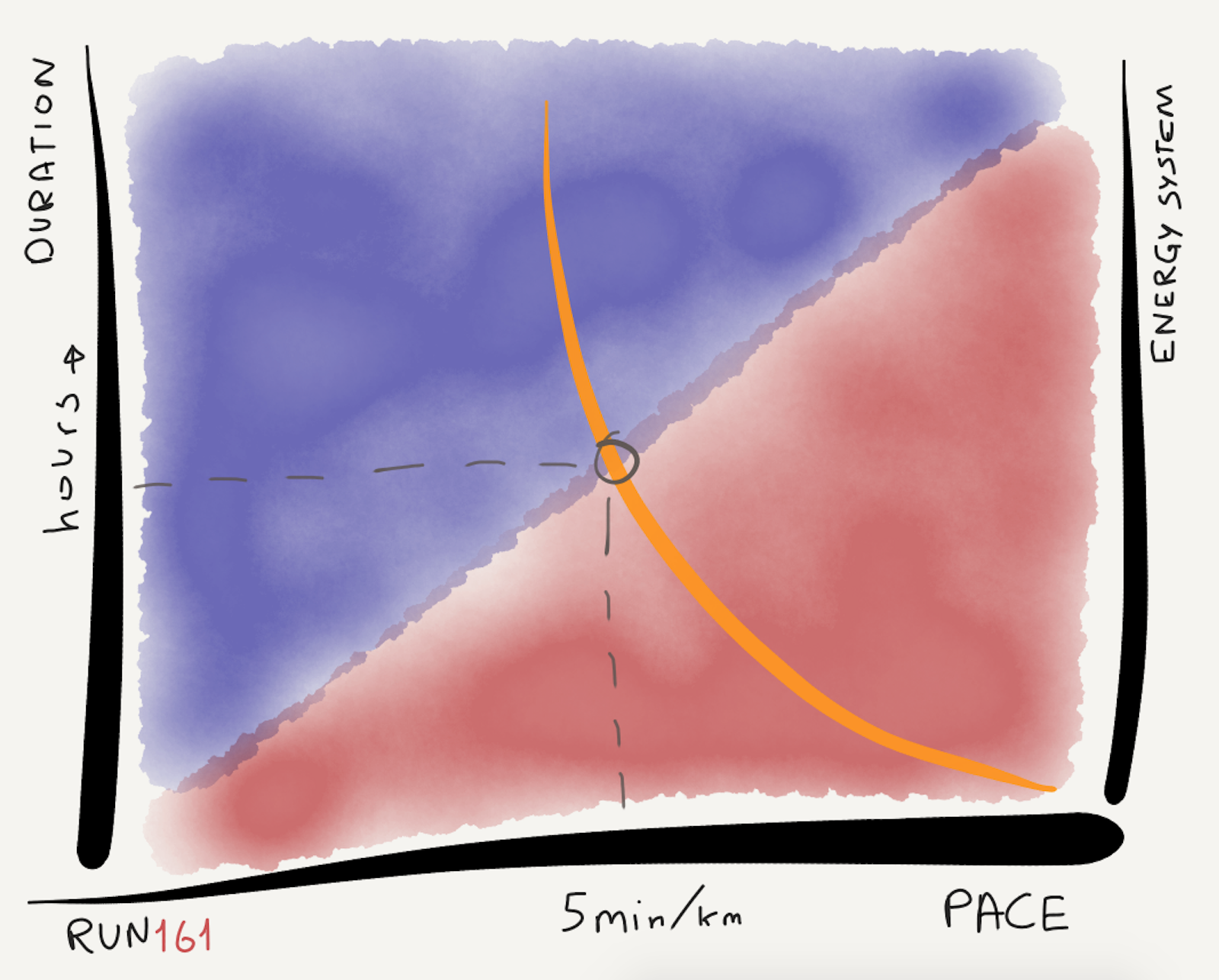Aerobic Running Improves Your Engine and Makes You Faster – Run161